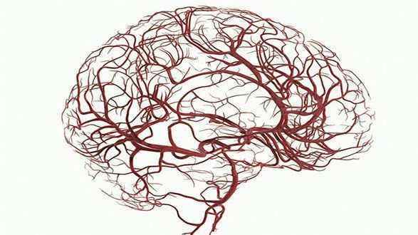 El polígono de Willis - Psicología